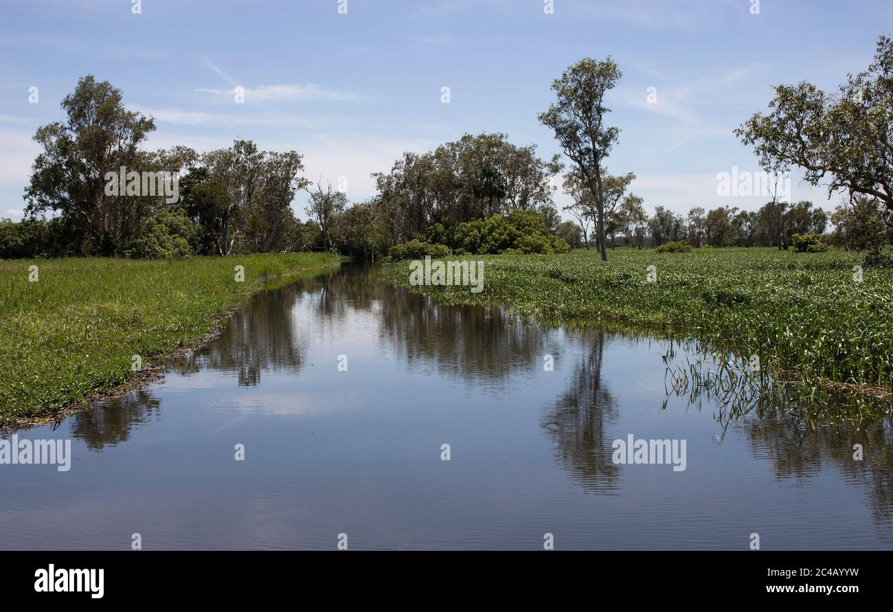 Billabong waterhole landscape hi-res stock photography and images - Alamy