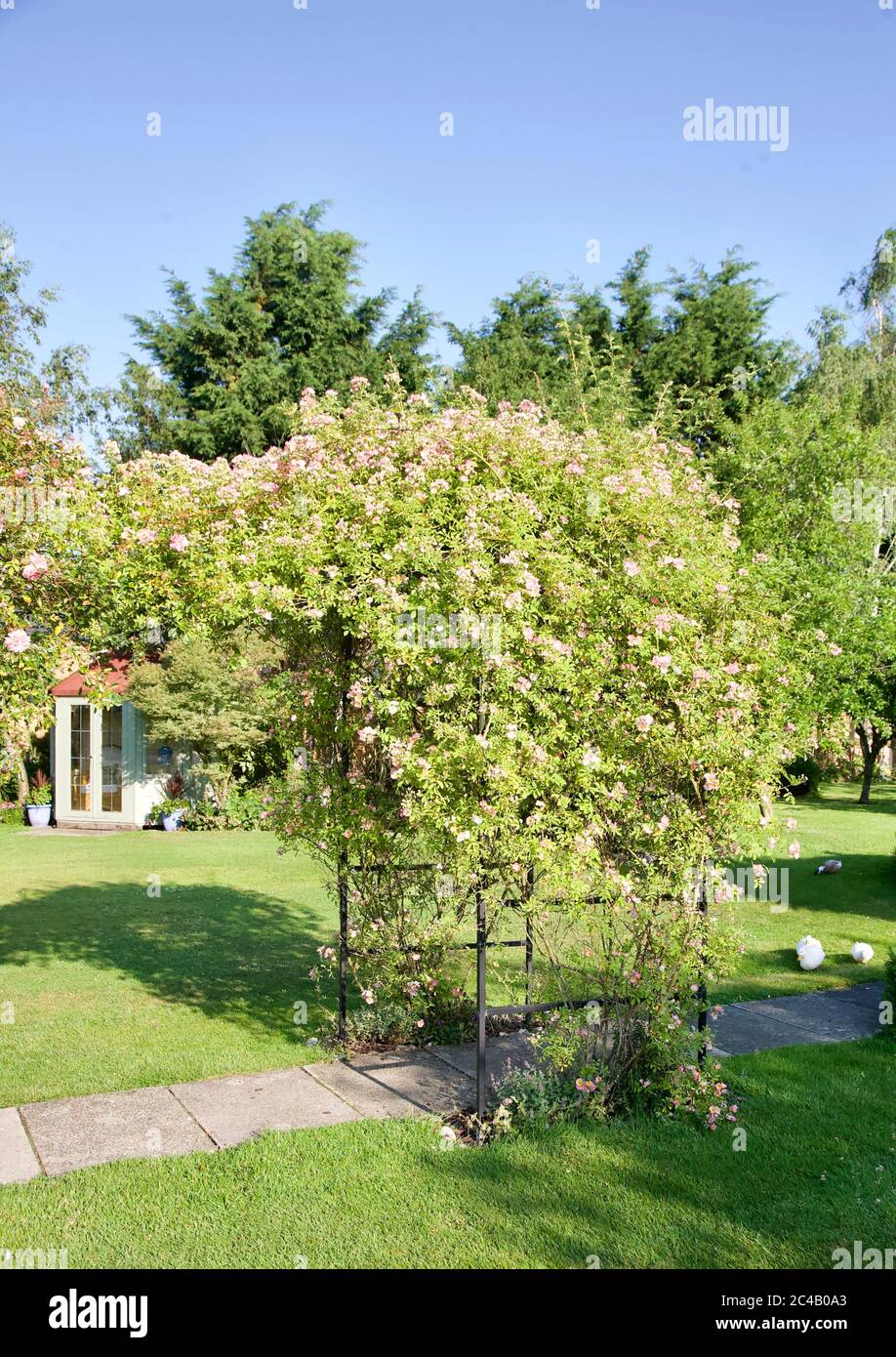 Rose arbour hi-res stock photography and images - Alamy