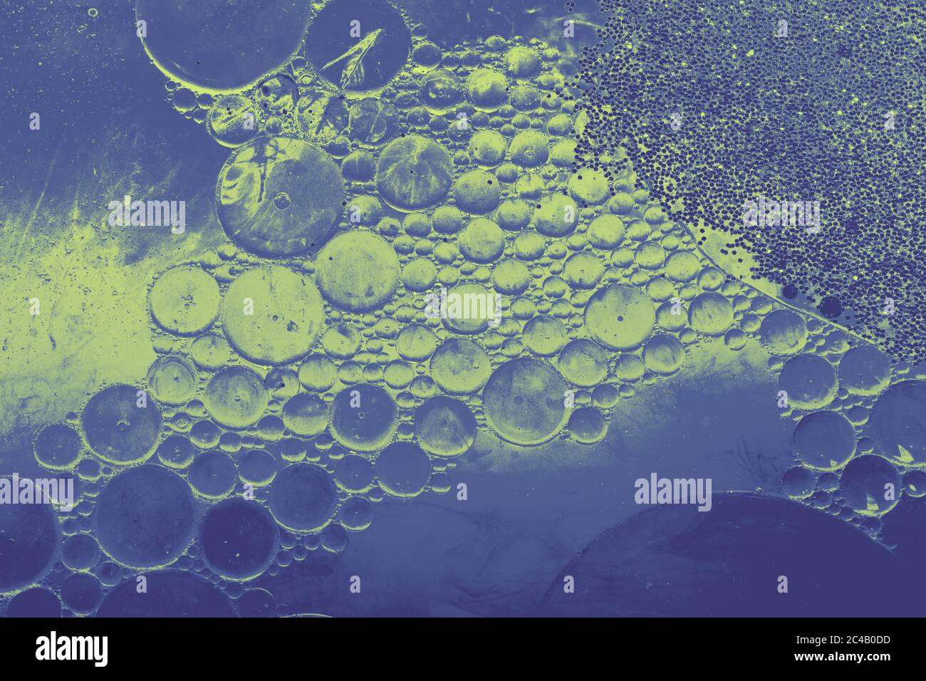 Macro shot of water oil emulsion form abstract background Stock Photo ...