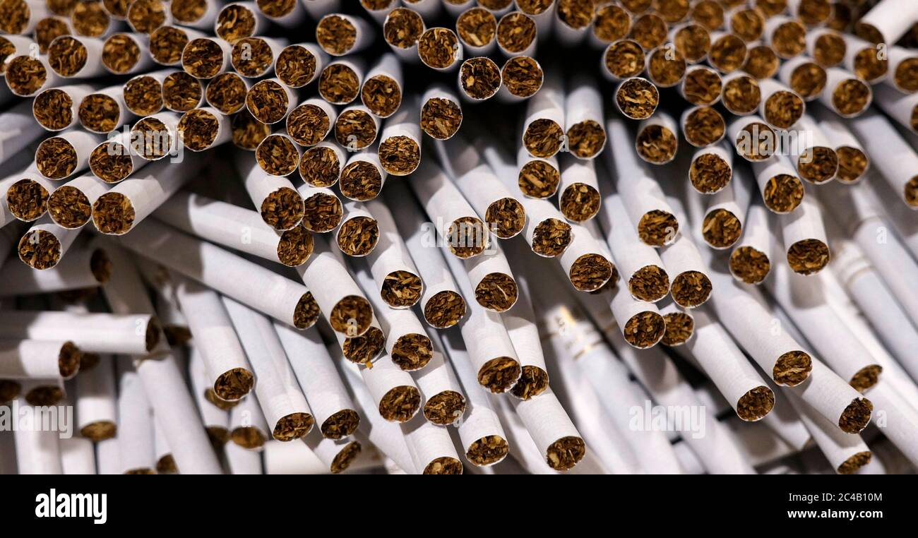 Fresh tobacco smoking products Stock Photo - Alamy