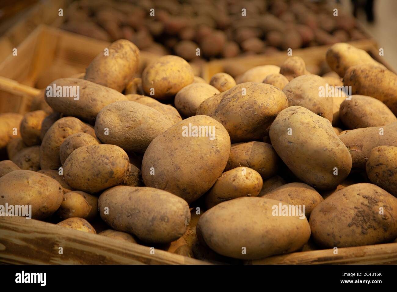 Wooden plant trays hi-res stock photography and images - Alamy