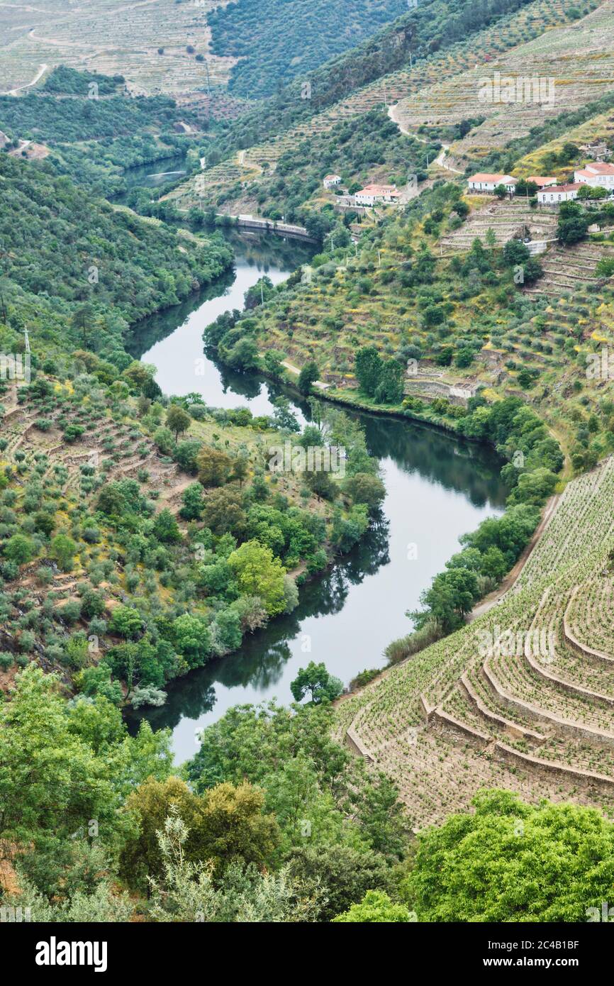 Tavora river hi-res stock photography and images - Alamy