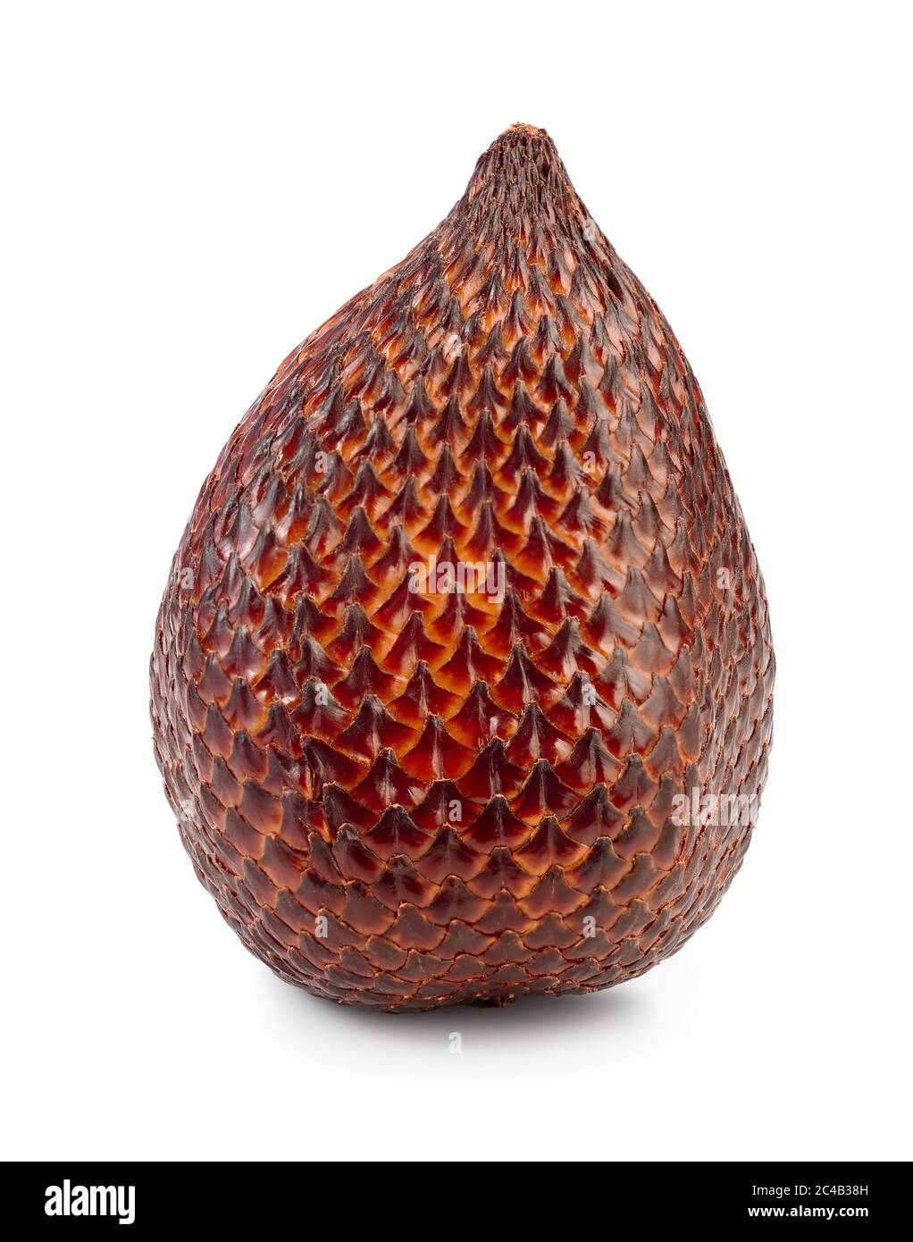 Salak snake fruit isolated on white background with clipping path and ...
