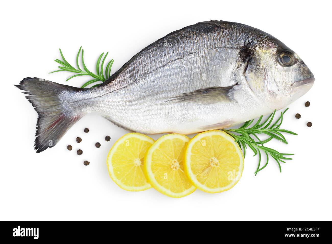 Fish dorado isolated on white background with clipping path and full ...