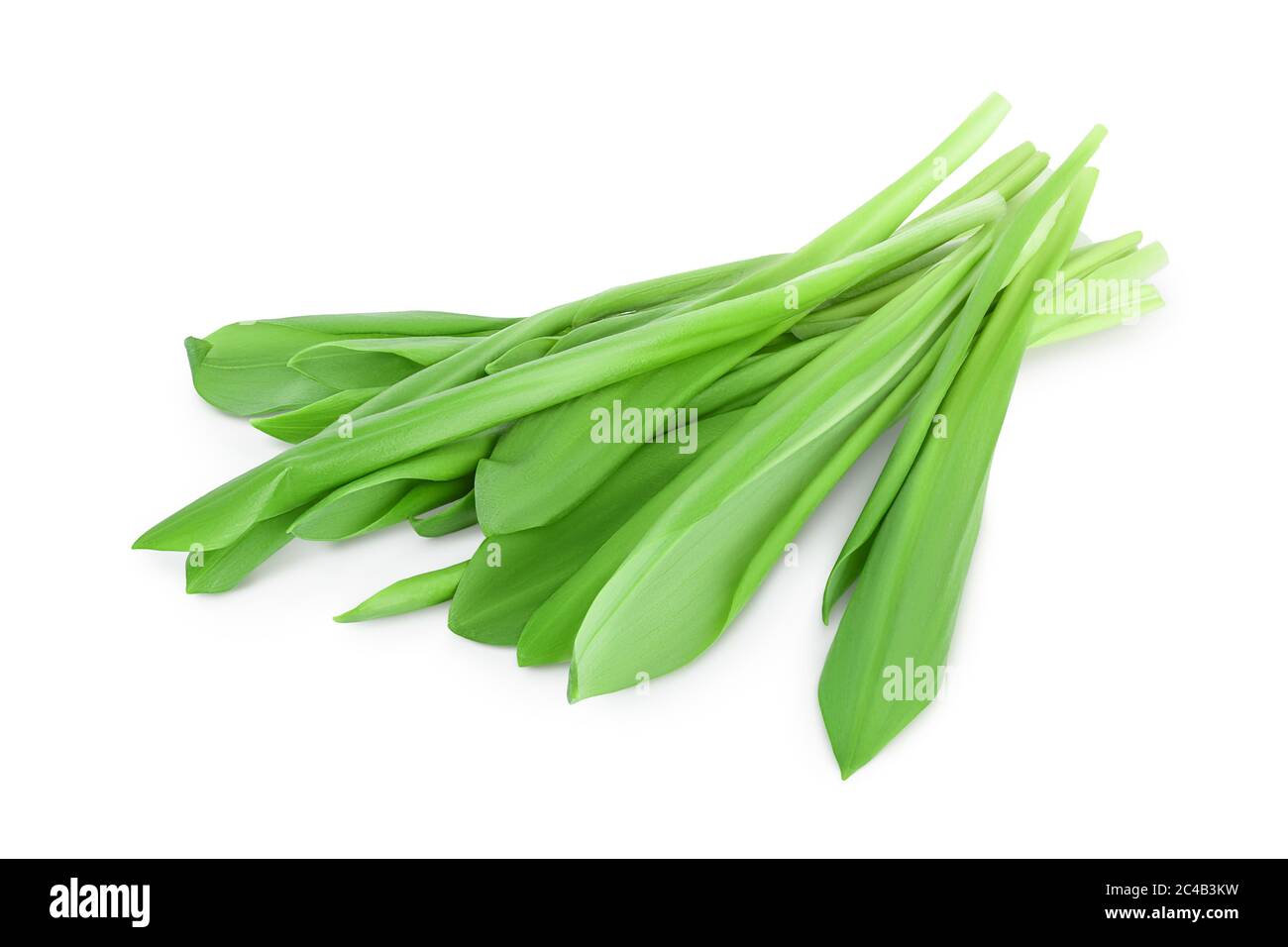 Ramson bunch vegetable isolated on white background with clipping path ...