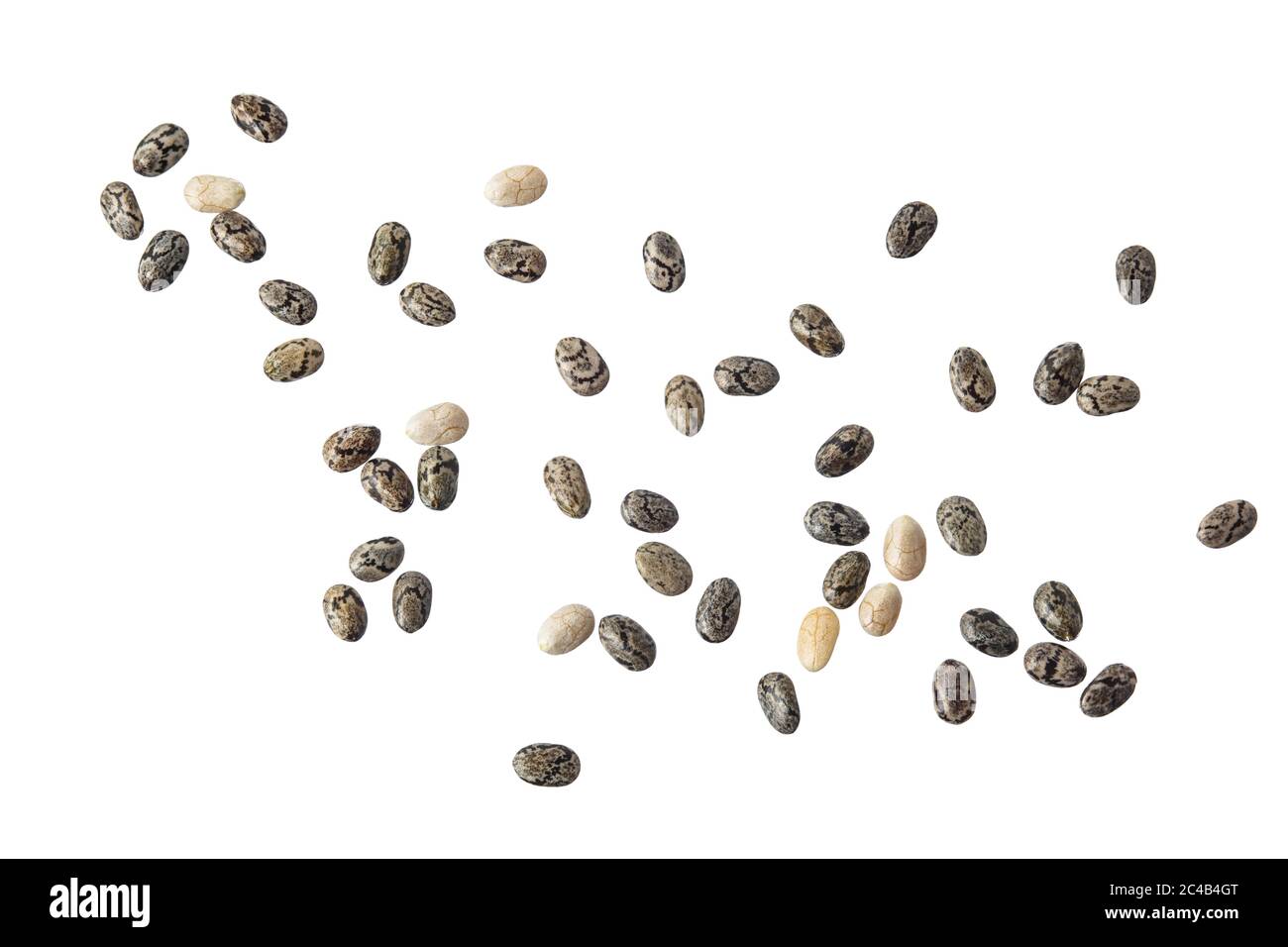 Chia seeds isolated on white background with clipping path and full ...