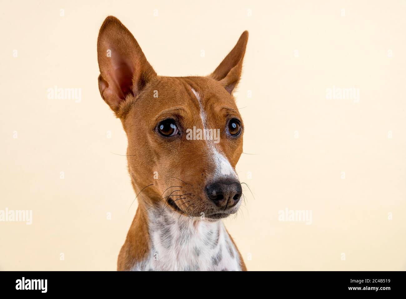 Looking right of shot hi-res stock photography and images - Alamy