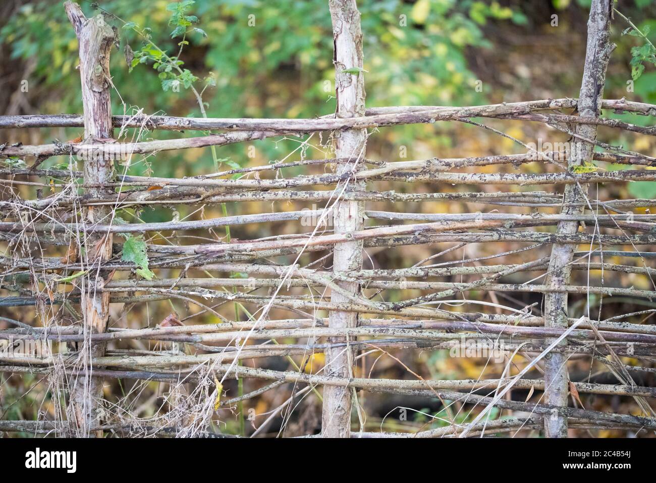 Fence made of dead wood, biotope for birds and insects, ox bog at the ...