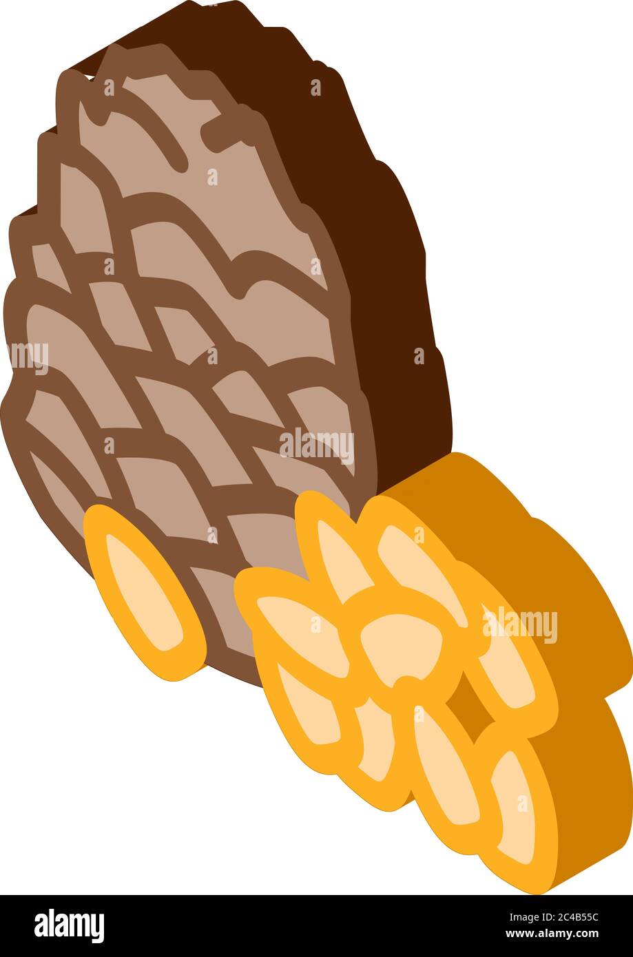pine nut icon vector outline illustration Stock Vector Image & Art - Alamy