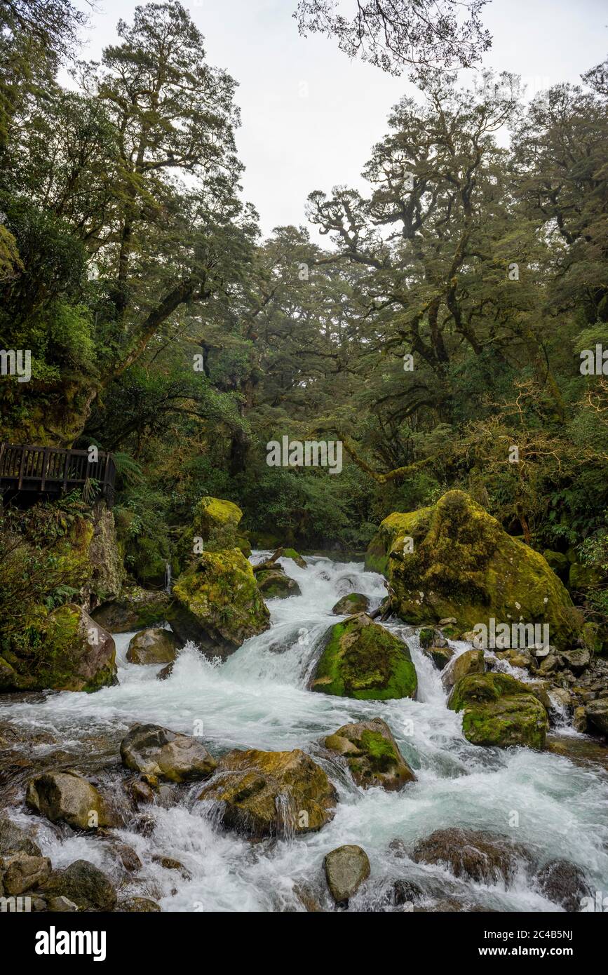 Marion Lake Trail High Resolution Stock Photography and Images - Alamy