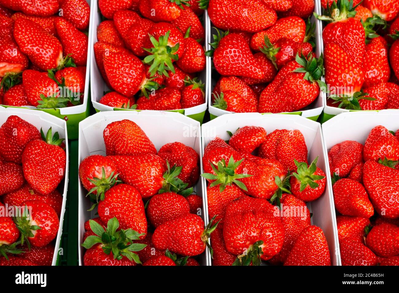 Strawberries plant box hi-res stock photography and images - Alamy
