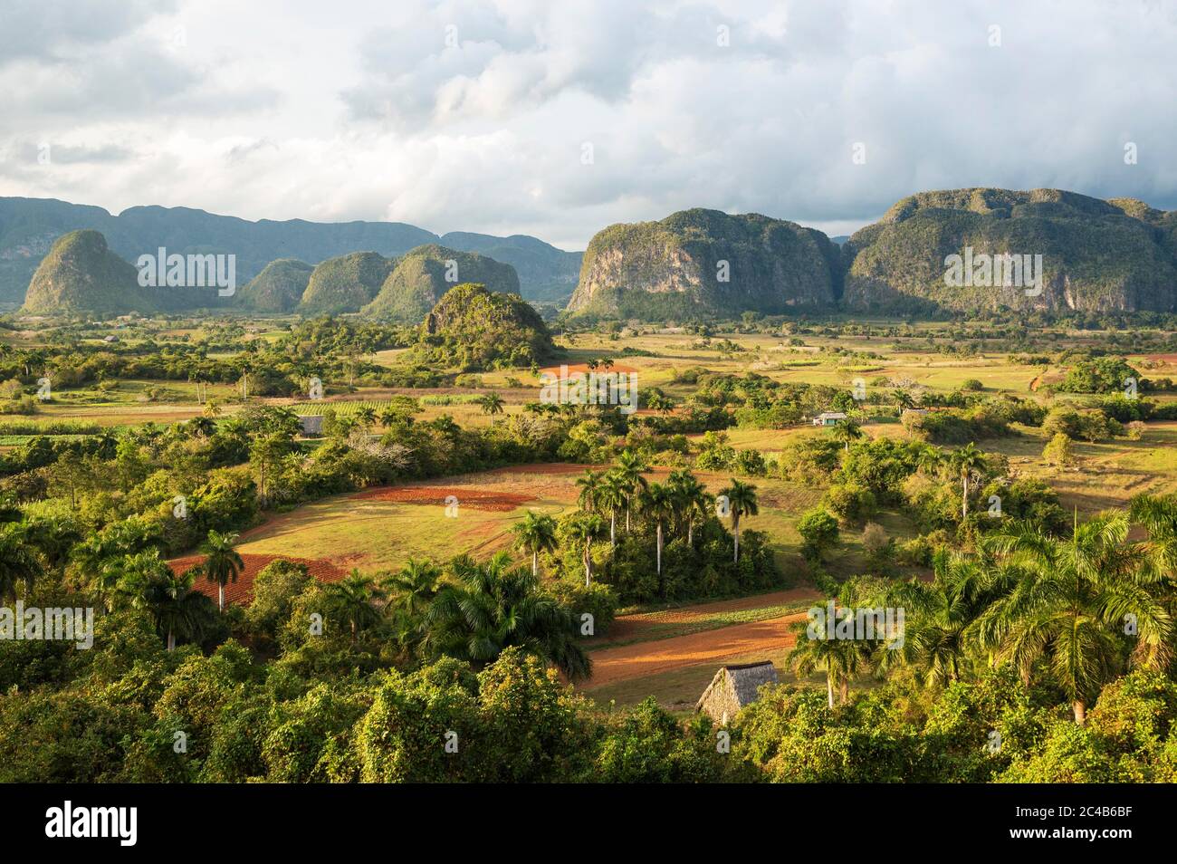 The Vinales valley with its rocky hills, the unique Mogotes and ...