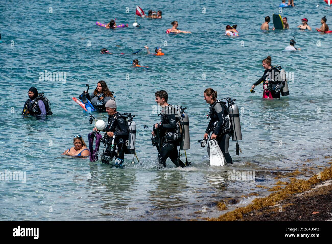 Phil foster hi-res stock photography and images - Alamy