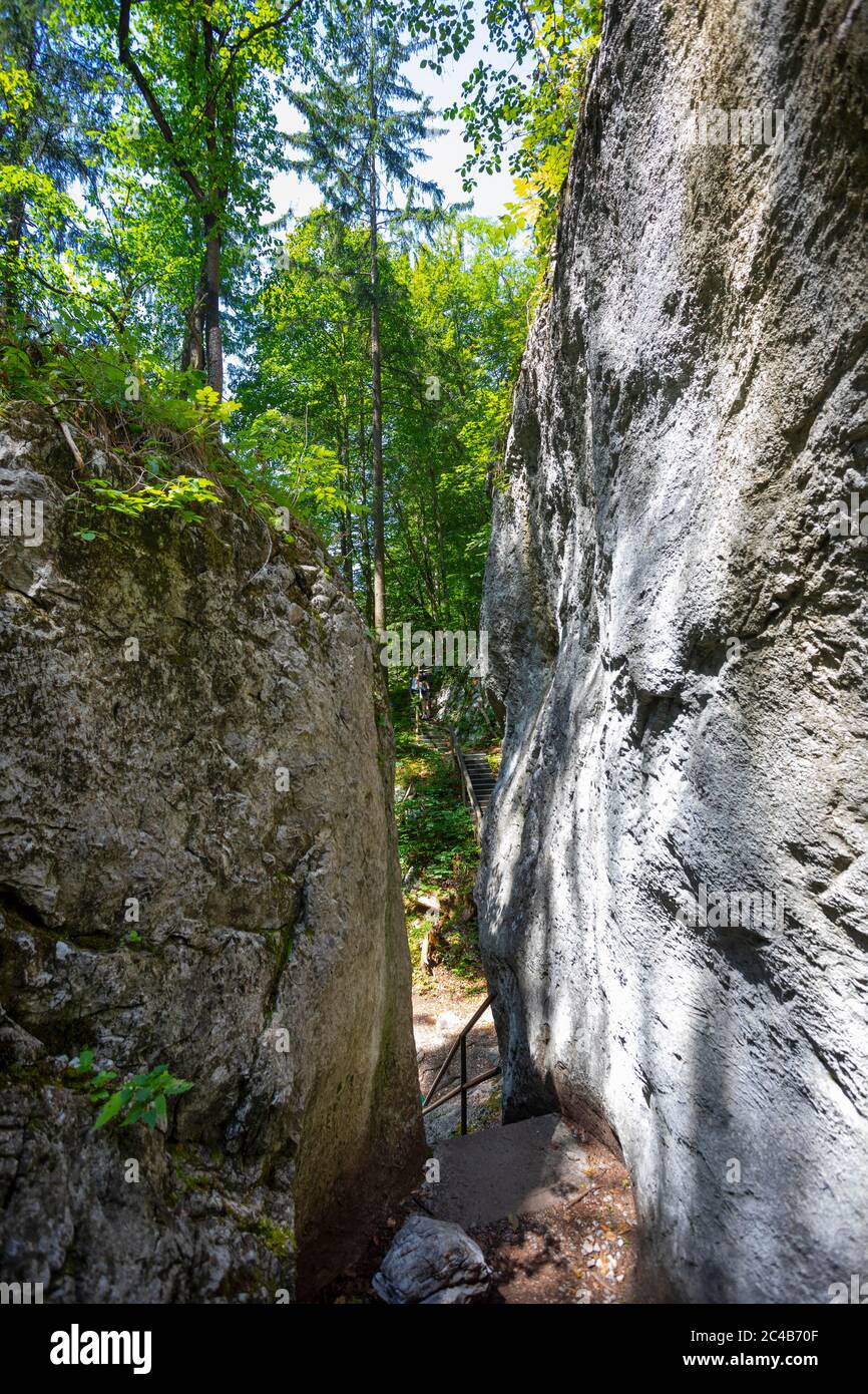 Path through the Salzach Gorge, Salzachoefen, River Salzach, Salzburger ...