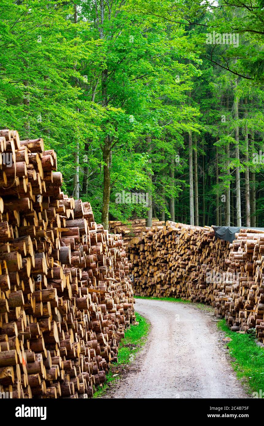 Large wood pile hi-res stock photography and images - Alamy
