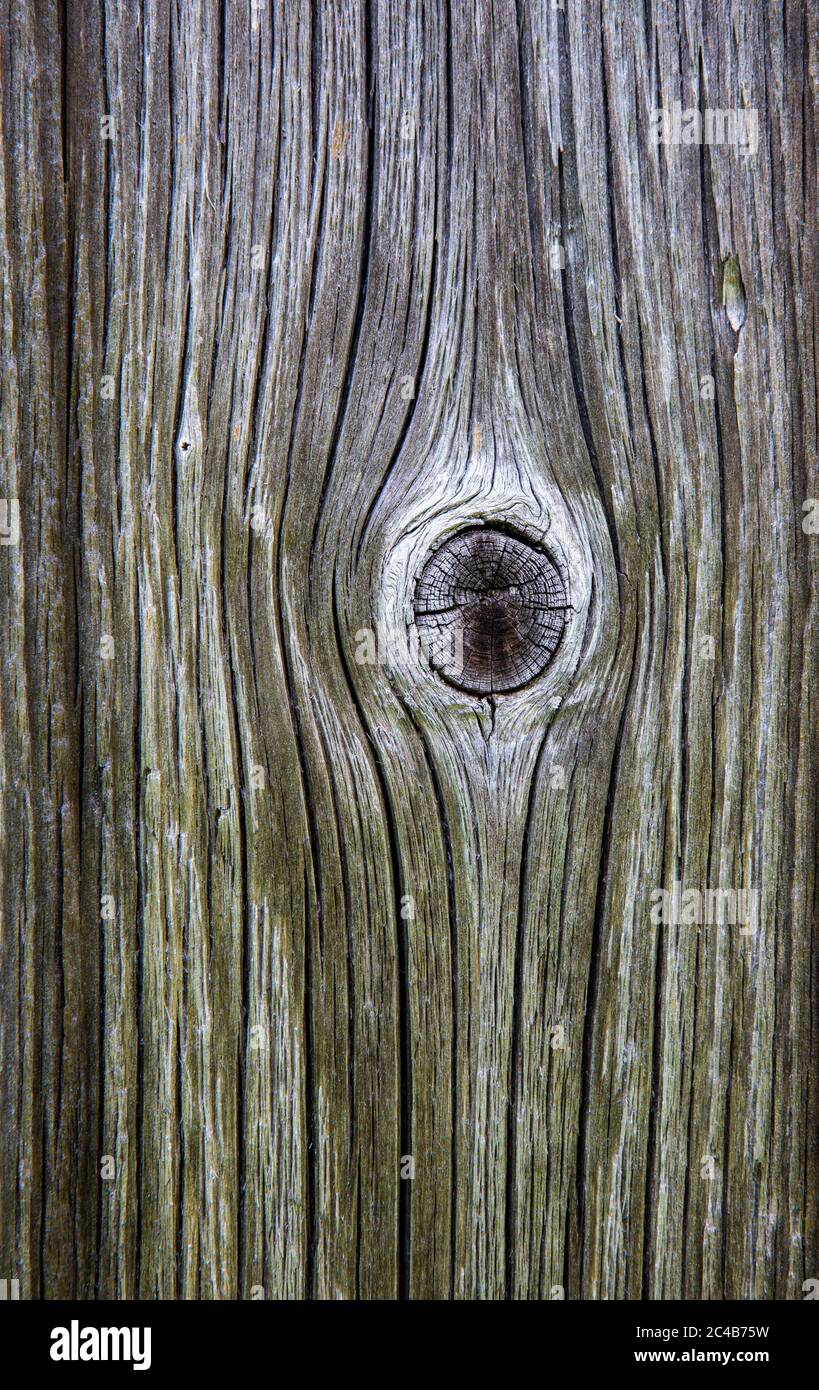 Weathered wood with knothole at a mountain hut,wood structure, Austria ...