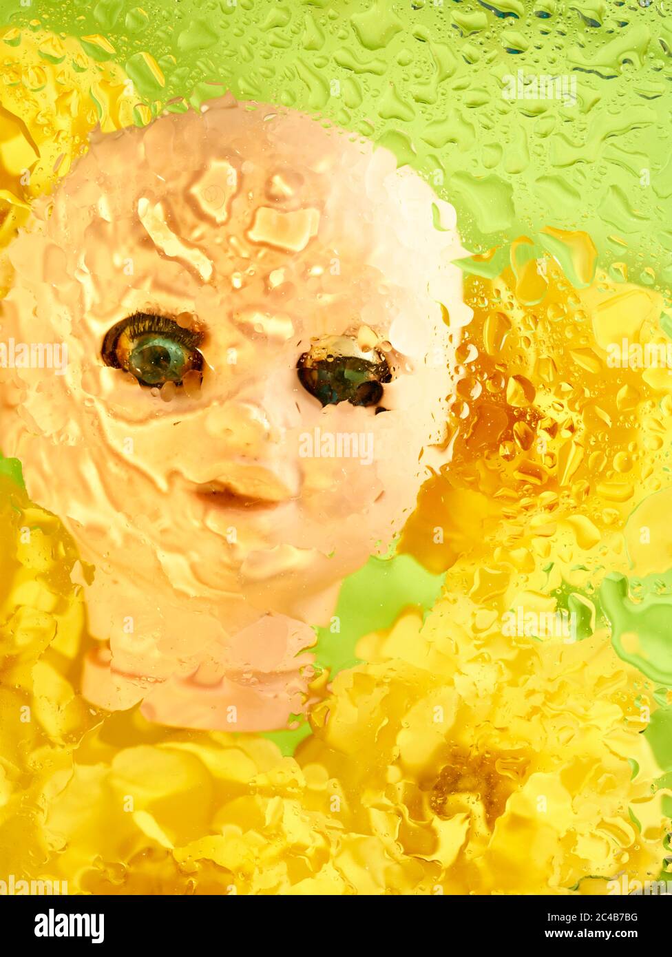 Decapitated dolls head and yellow roses drowning under water droplets ...