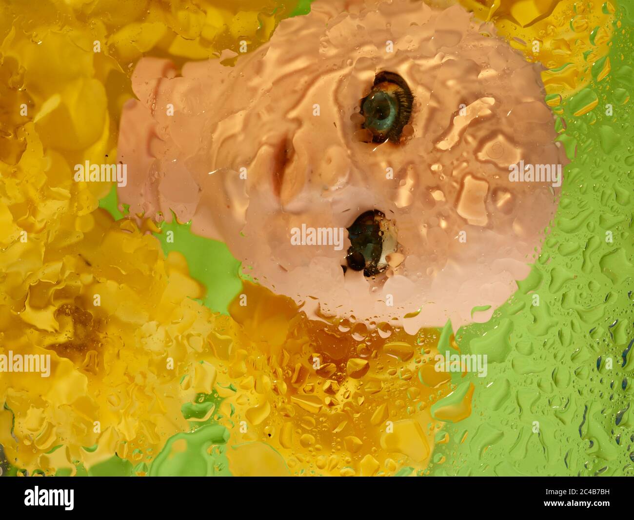 Decapitated dolls head and yellow roses drowning under water droplets ...