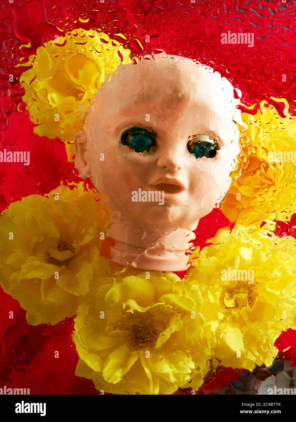 Decapitated dolls head and yellow roses drowning under water droplets ...