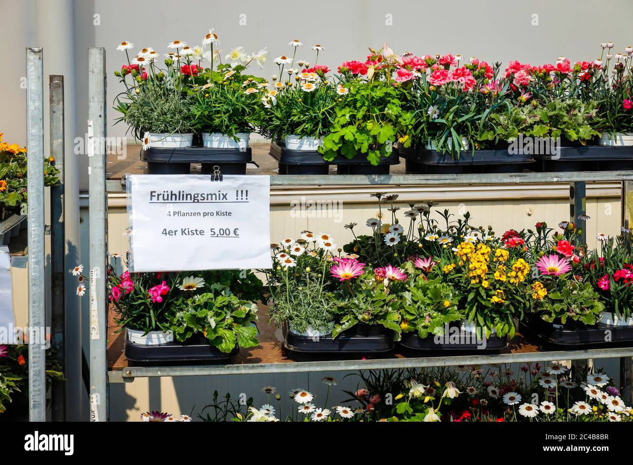 Nursery containers hi-res stock photography and images - Alamy