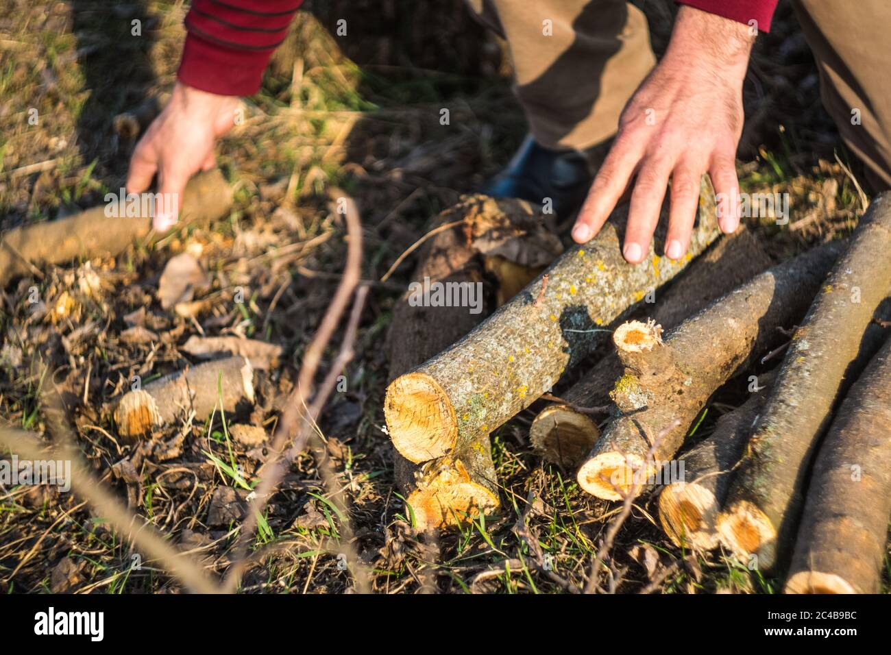 Gathering small wood pieces for making fire in outdoors Stock Photo - Alamy