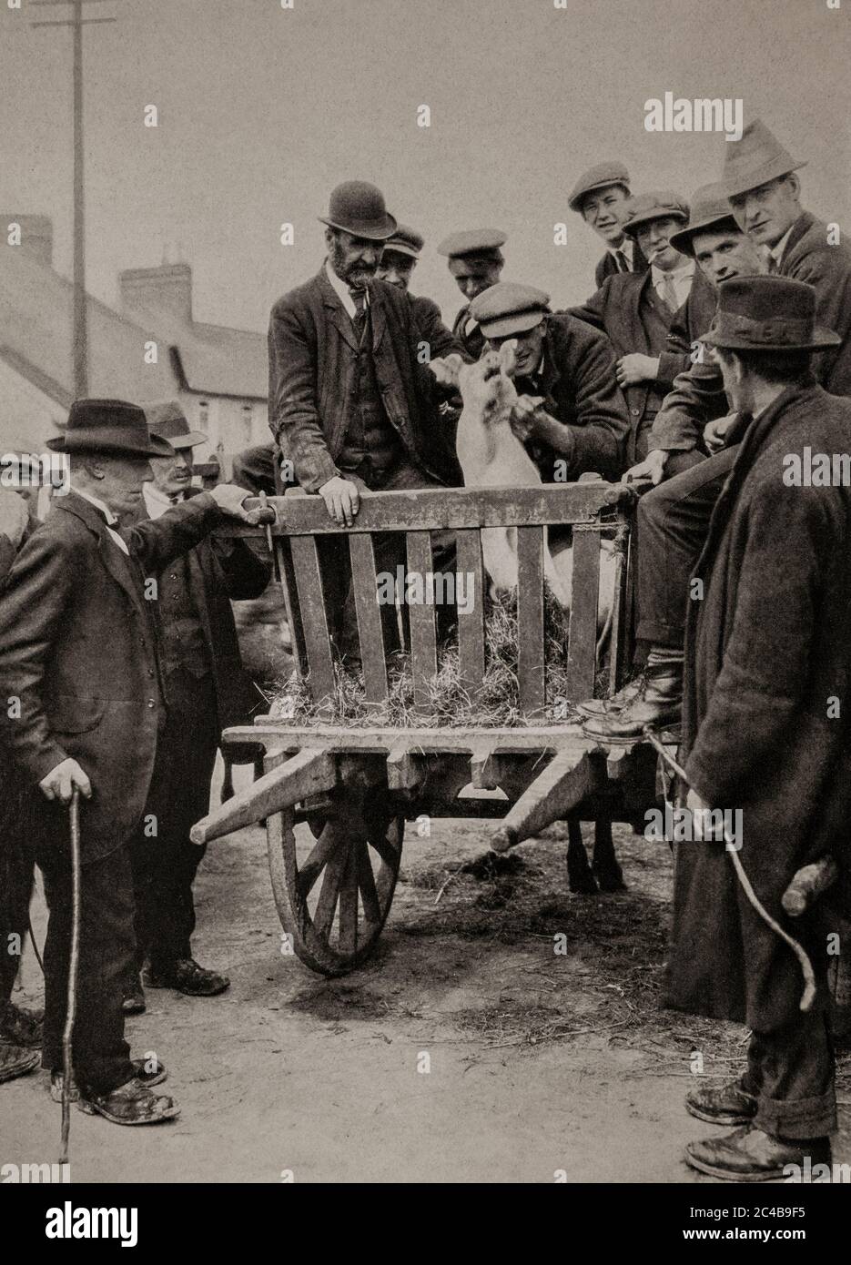 An early 1920's view of farmers and a pig in a Saturday Market in Ennis ...