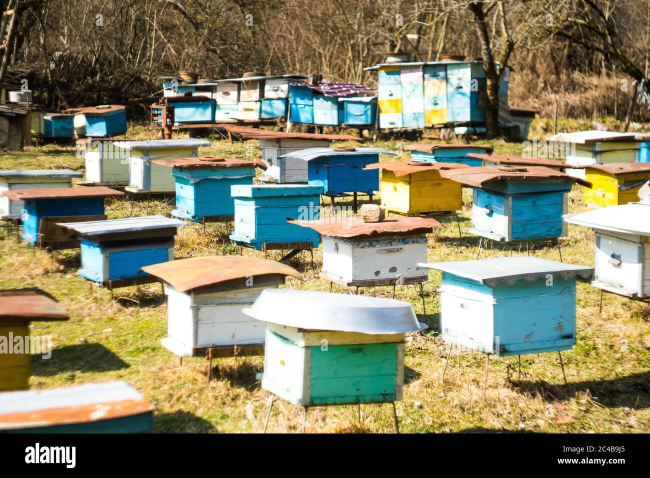 Multiple blue and yellow wooden beehive boxes Stock Photo - Alamy