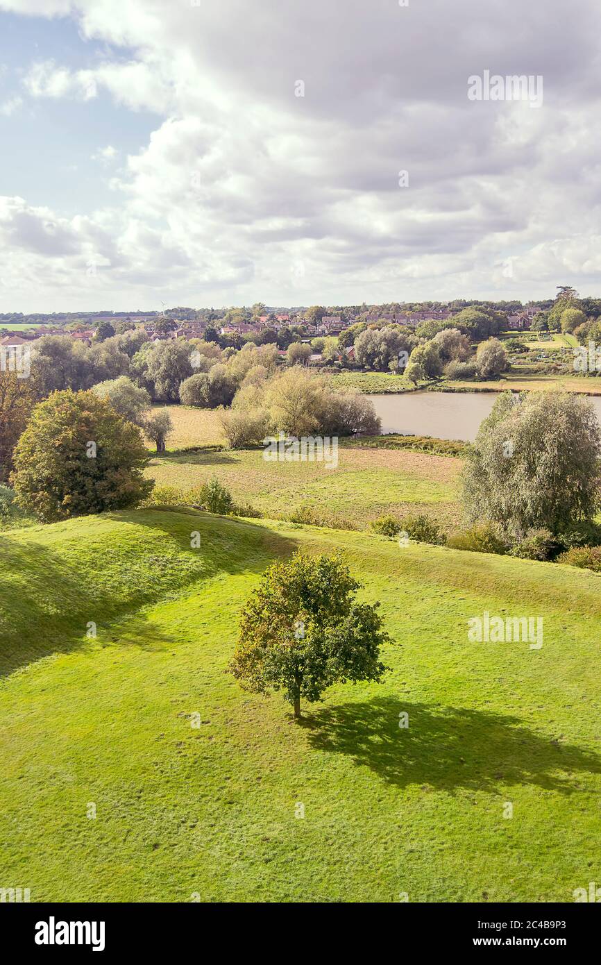 Aerial view of a field with a tree in the middle Stock Photo - Alamy