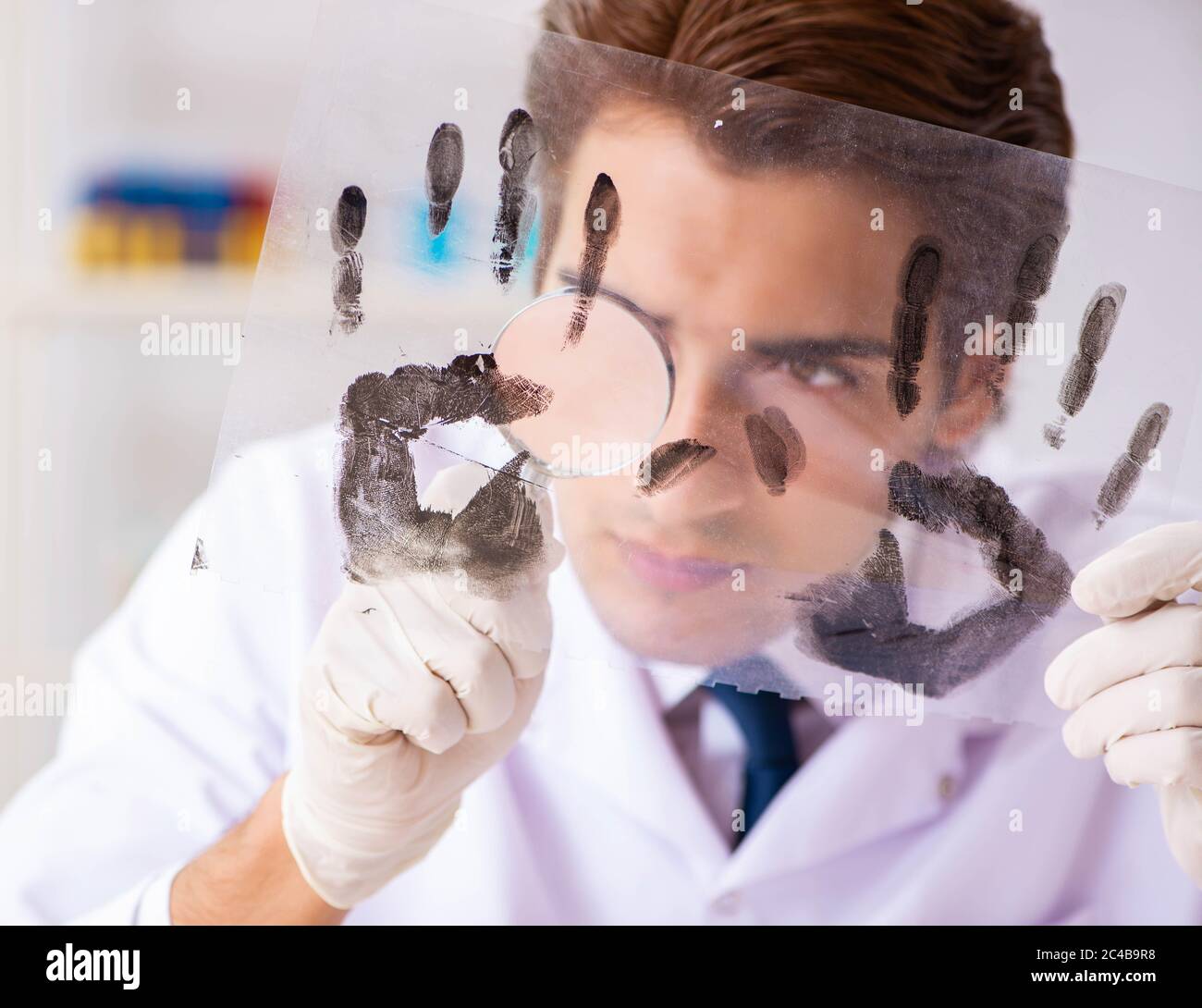 The forensic expert studying fingerprints in the lab Stock Photo - Alamy