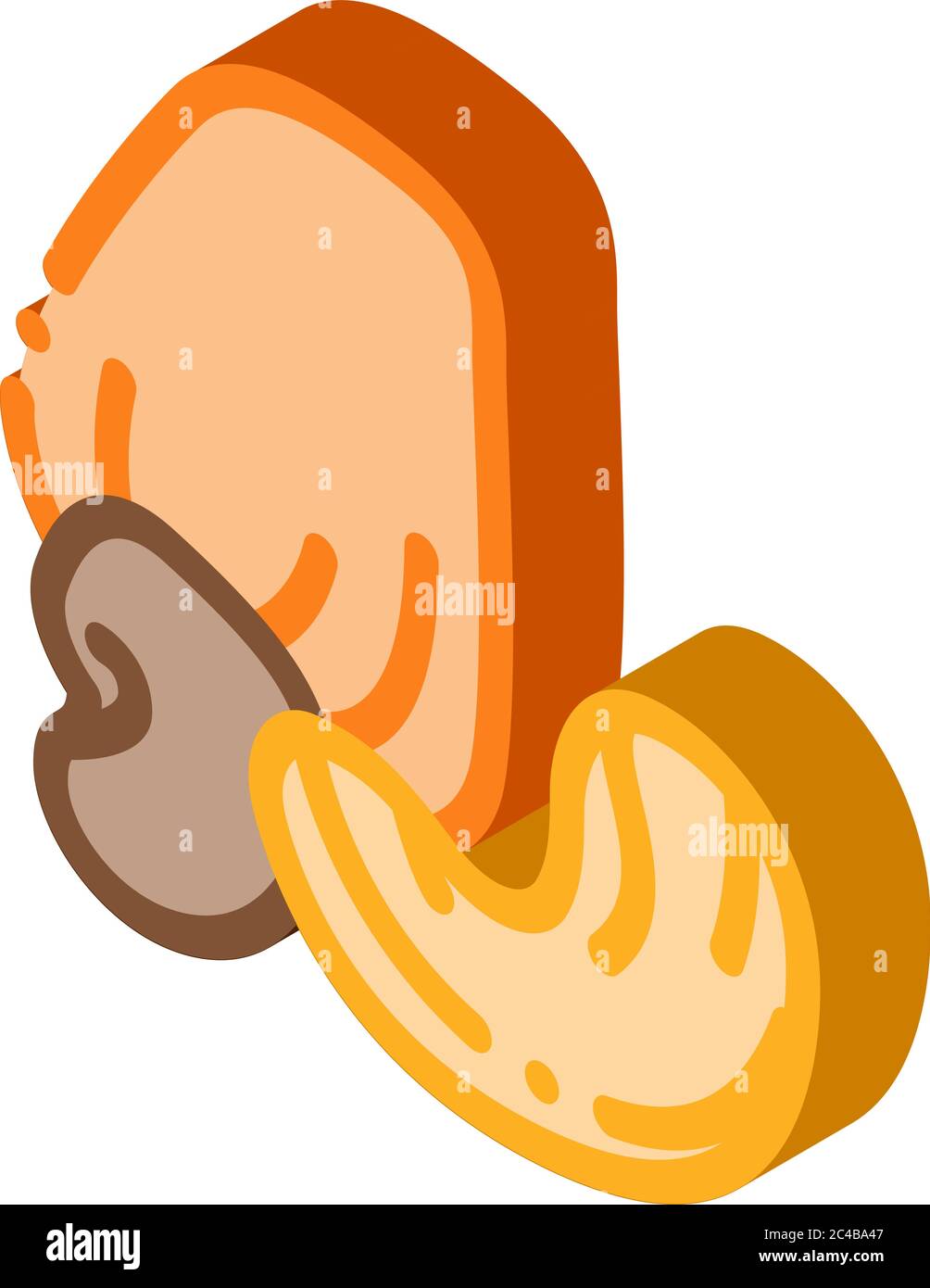 cashew nut icon vector outline illustration Stock Vector Image & Art ...