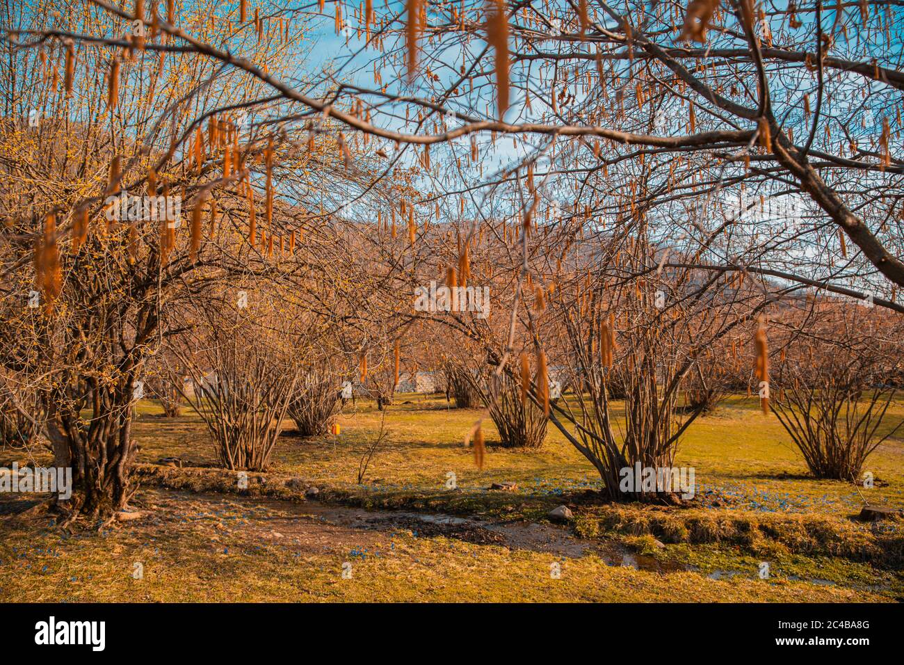 Multiple fruit hi-res stock photography and images - Alamy