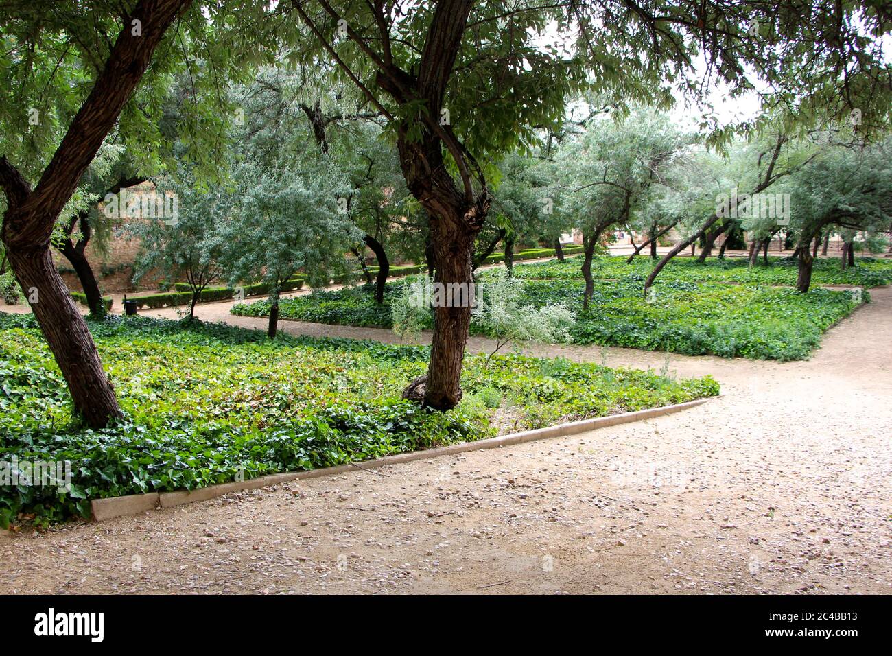 Gardens at the rear of the Infantado Palace Guadalajara Castile-La ...