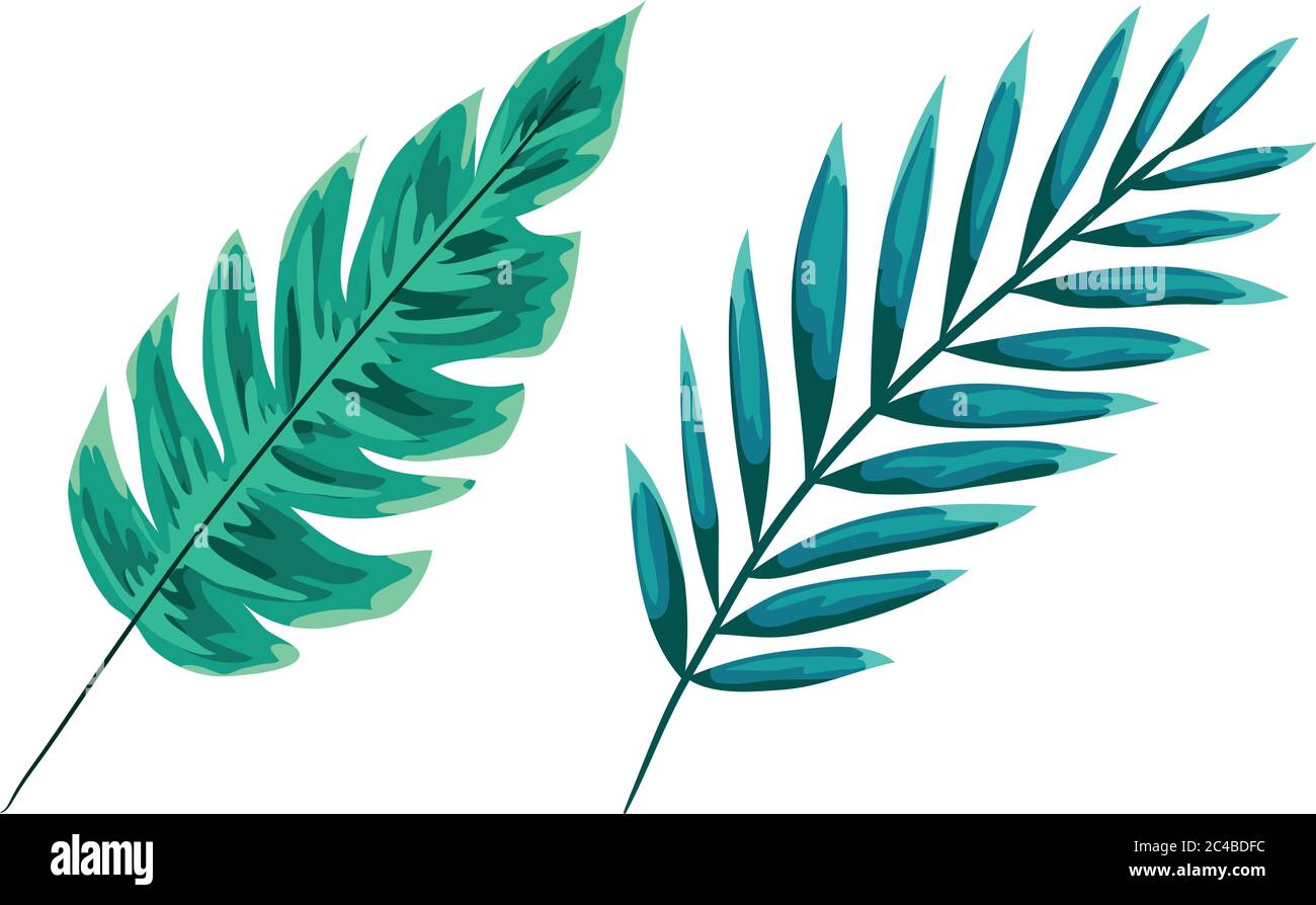 two green leaves design of Floral nature plant garden ornament botany ...