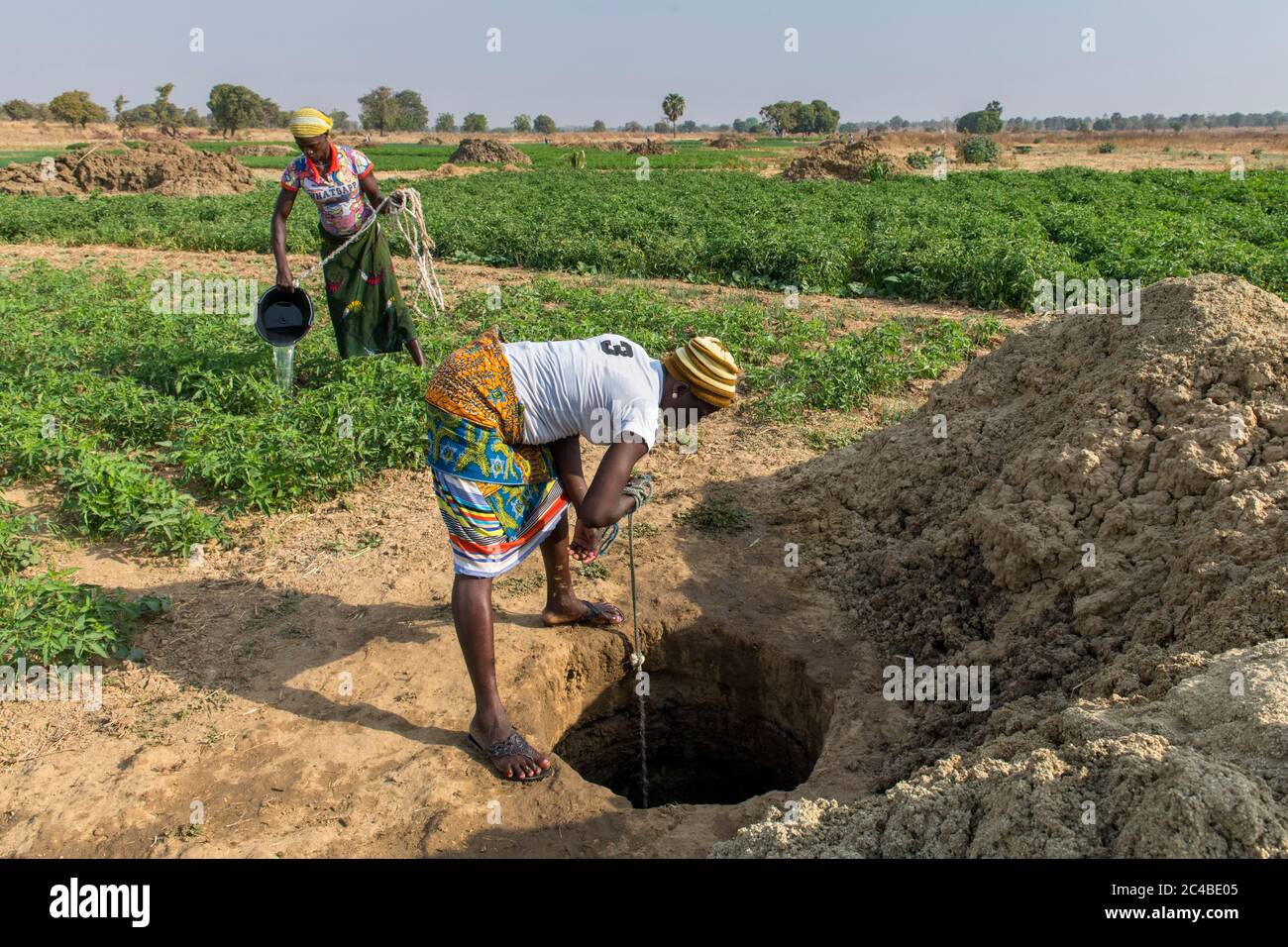 Microfinance client market farming in savanes province, north togo ...
