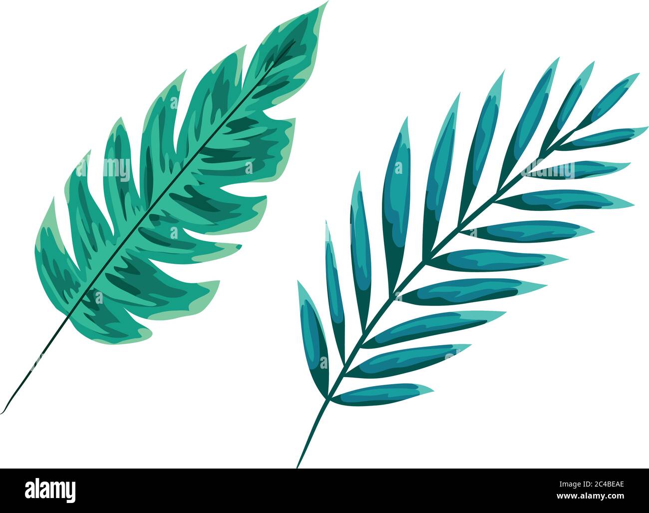 two green leaves design of Floral nature plant garden ornament botany ...