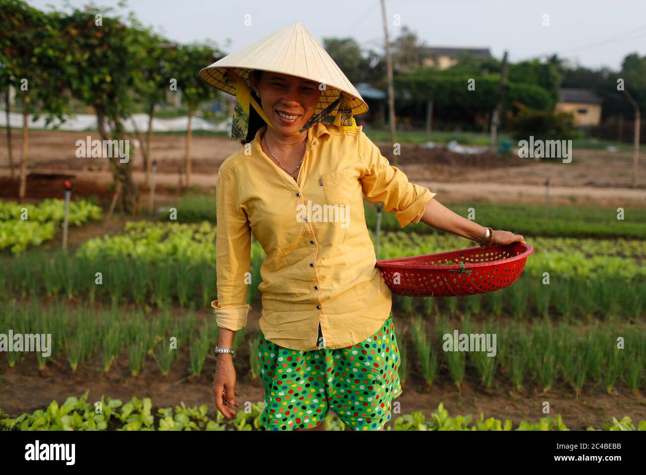 Organic vegetable gardens in tra que village Stock Photo - Alamy