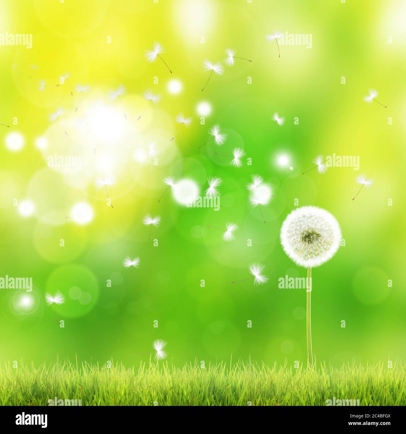 Beautiful dreamy spring nature background with dandelion Stock Photo ...