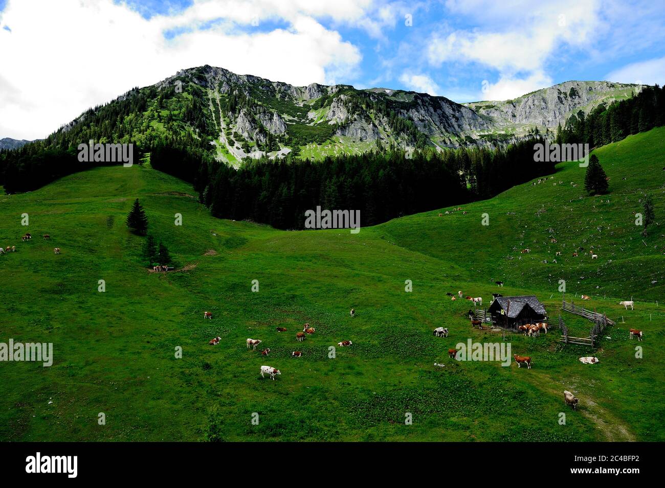 geography / travel, Austria, Styria, landscapes, beauty, season ...