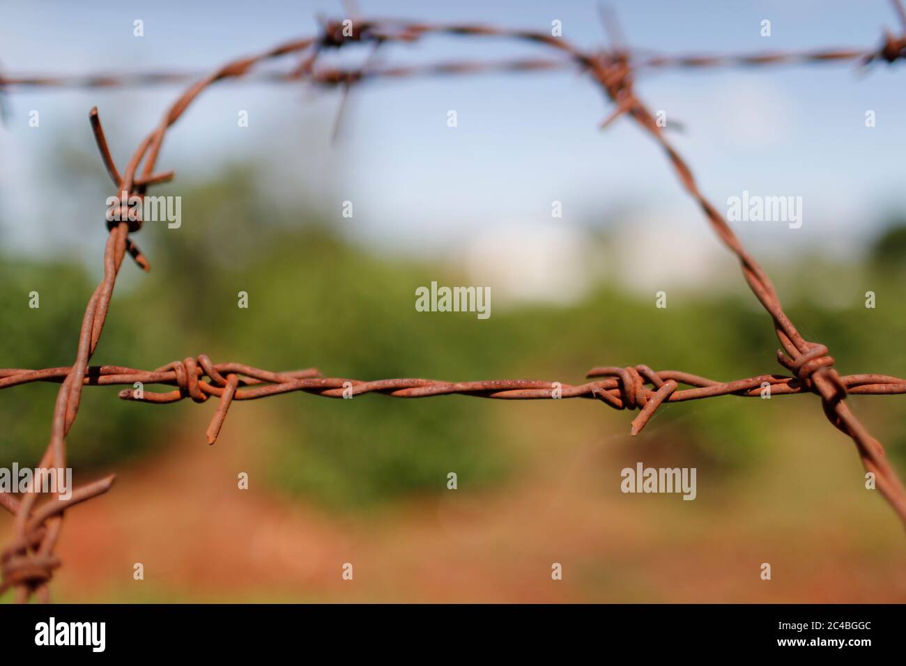 Rusty barbed wire fence Stock Photo - Alamy