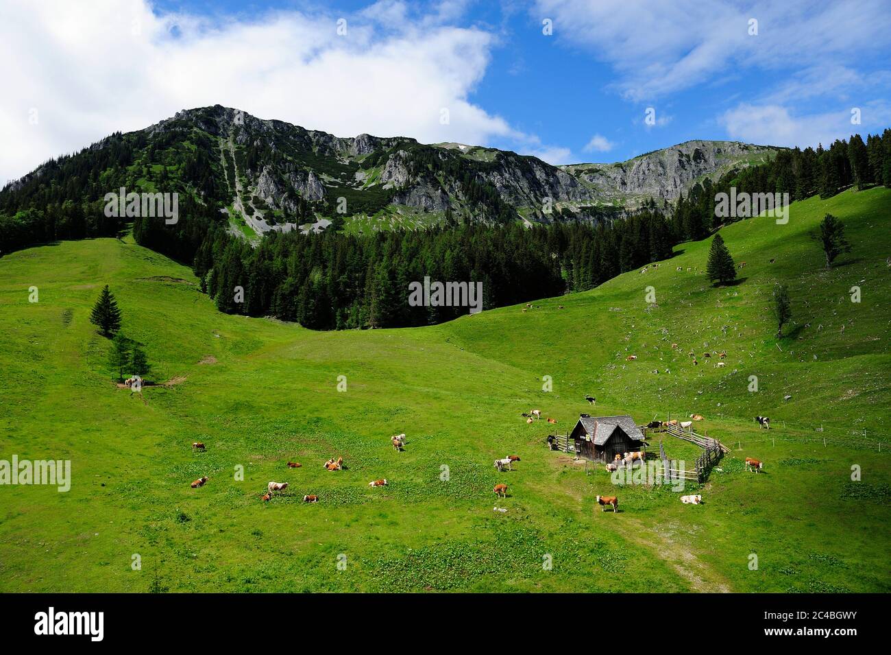 geography / travel, Austria, Styria, landscapes, beauty, season ...