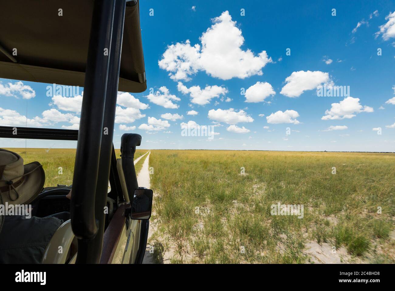 Botswana driving safari hi-res stock photography and images - Alamy