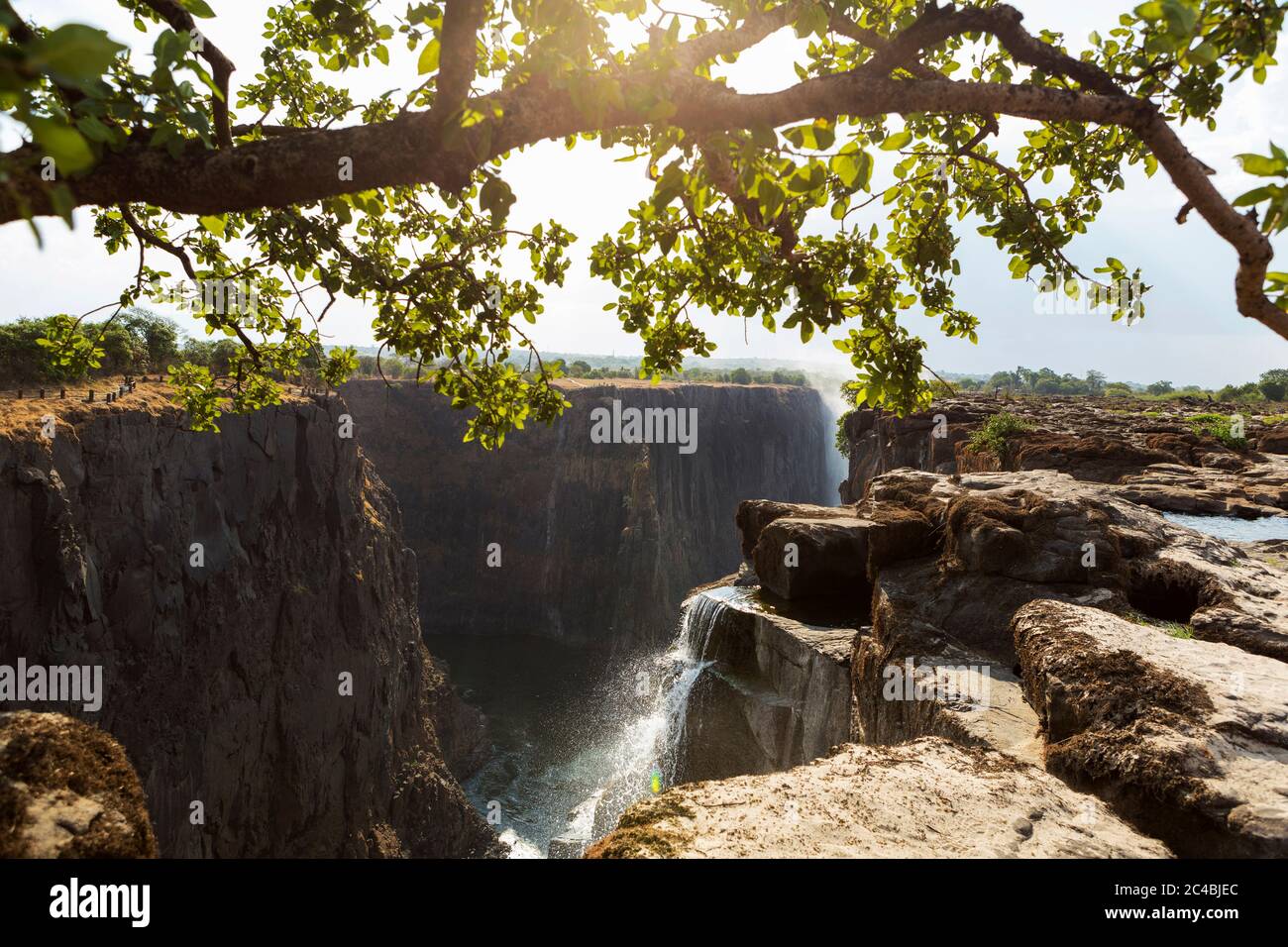 Victoria Falls from the Zambian side, view of the vertical cliffs of ...