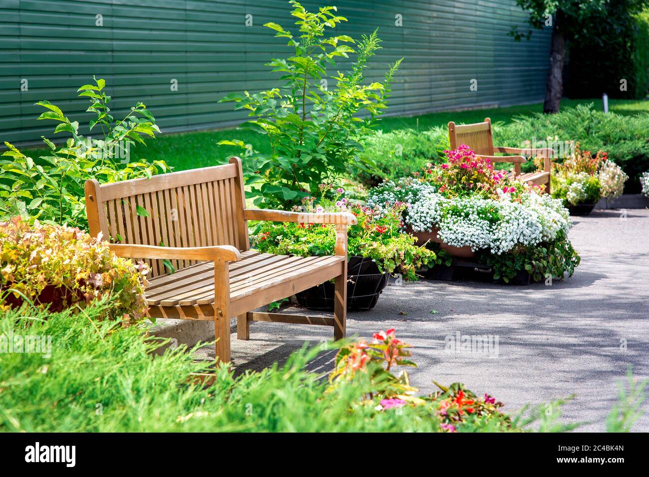 wooden bench in a park with flowers in flowerpots on asphalt near a ...