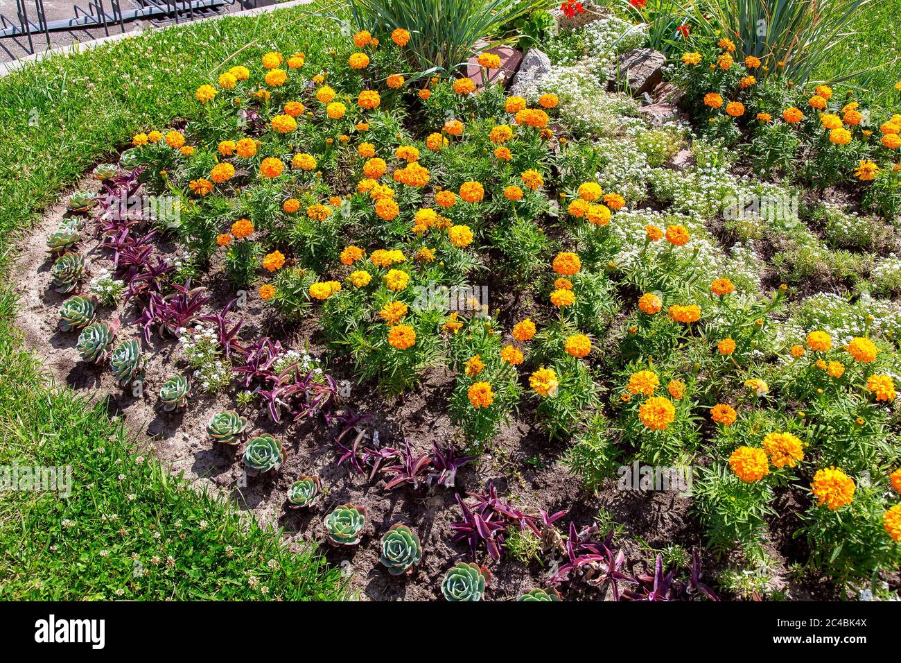 Details of a flowerbed of landscape design with different flowers ...