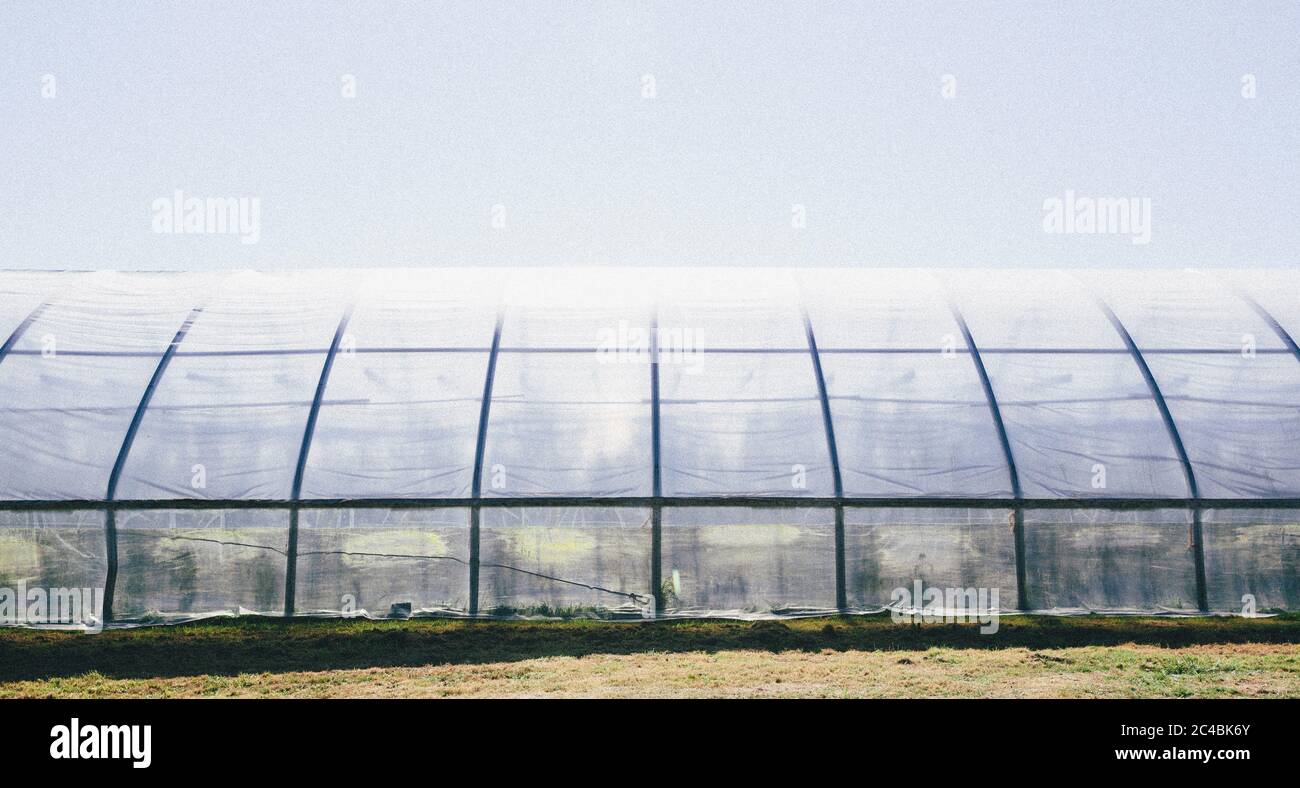 A polytunnel for growing crops with an opaque covering, roof sections ...