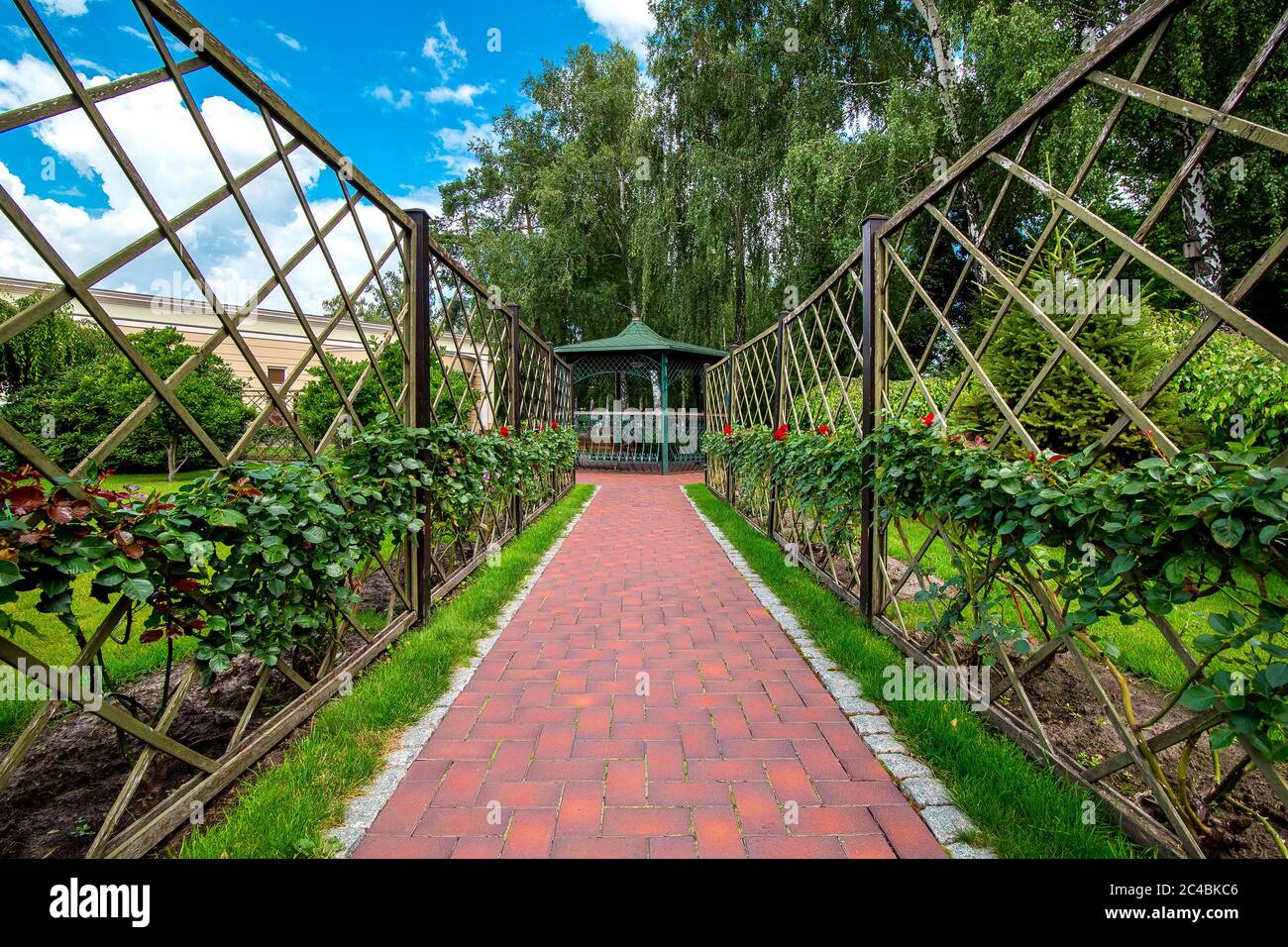 a rose garden with a fence for climbing bush roses along a path from ...