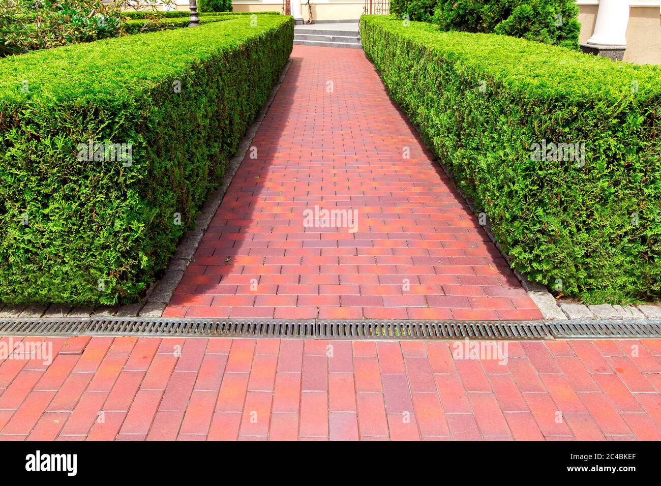 pedestrian pavement made of red tiles with a drainage grid and a hedge ...