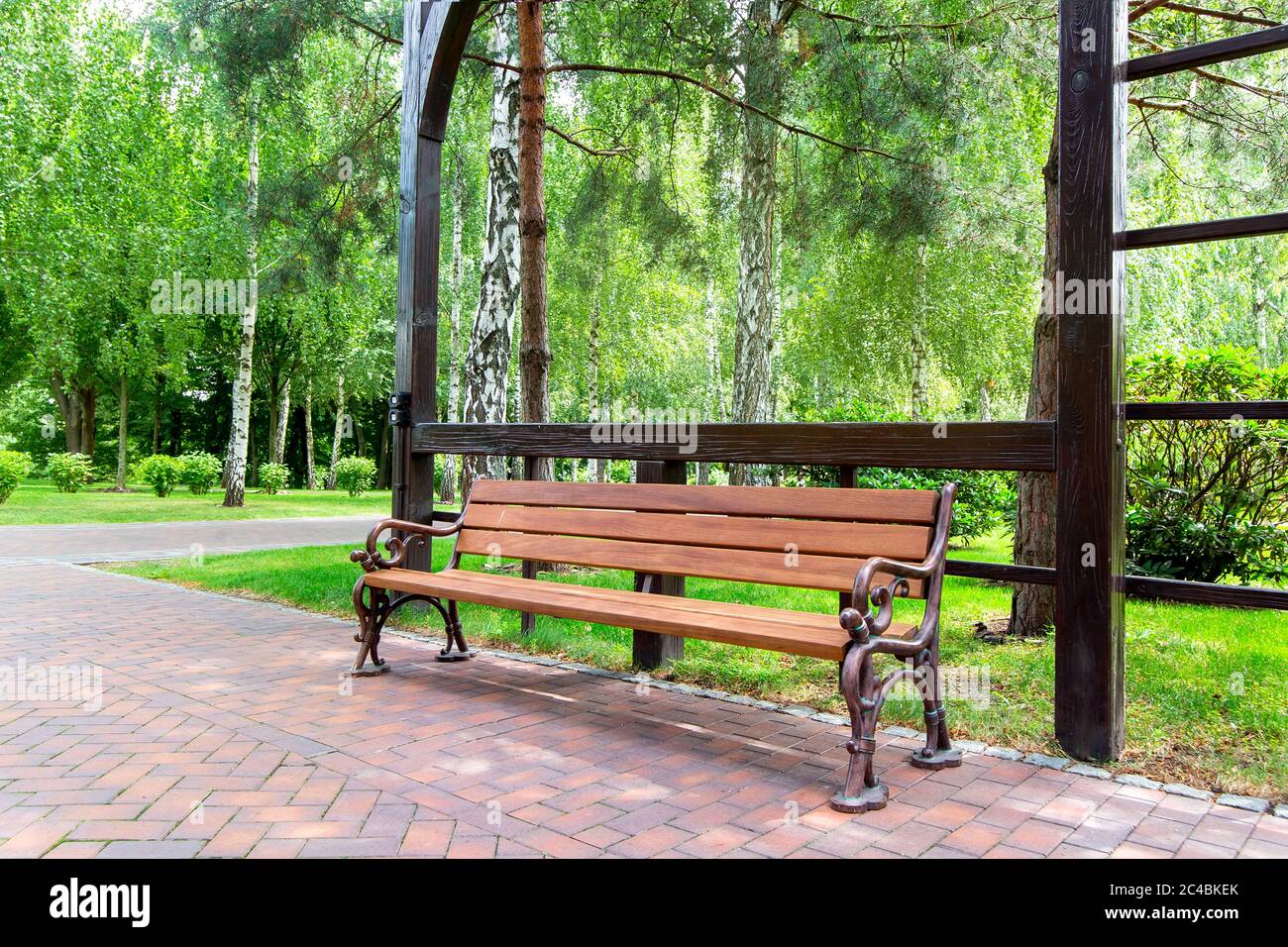 Plant under tree pavement hi-res stock photography and images - Alamy