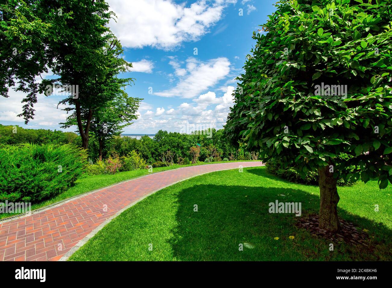 park with a pedestrian walkway from paving slabs for walks among green ...