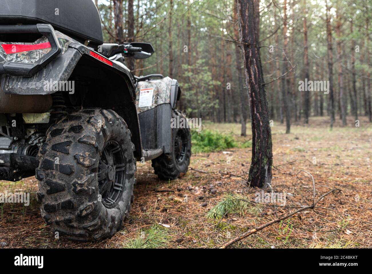 Atv forest usa hi-res stock photography and images - Alamy